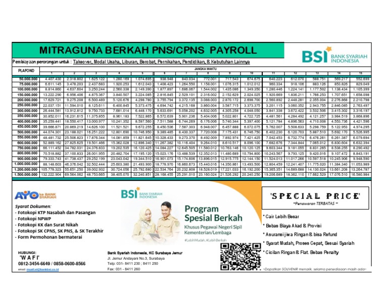 BSI Mitraguna PNS | PDF
