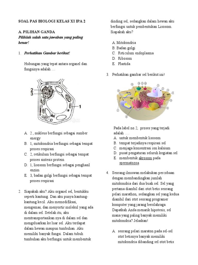 SOAL PAS BIOLOGI KELAS XI IPA 2 (Kirim) | PDF