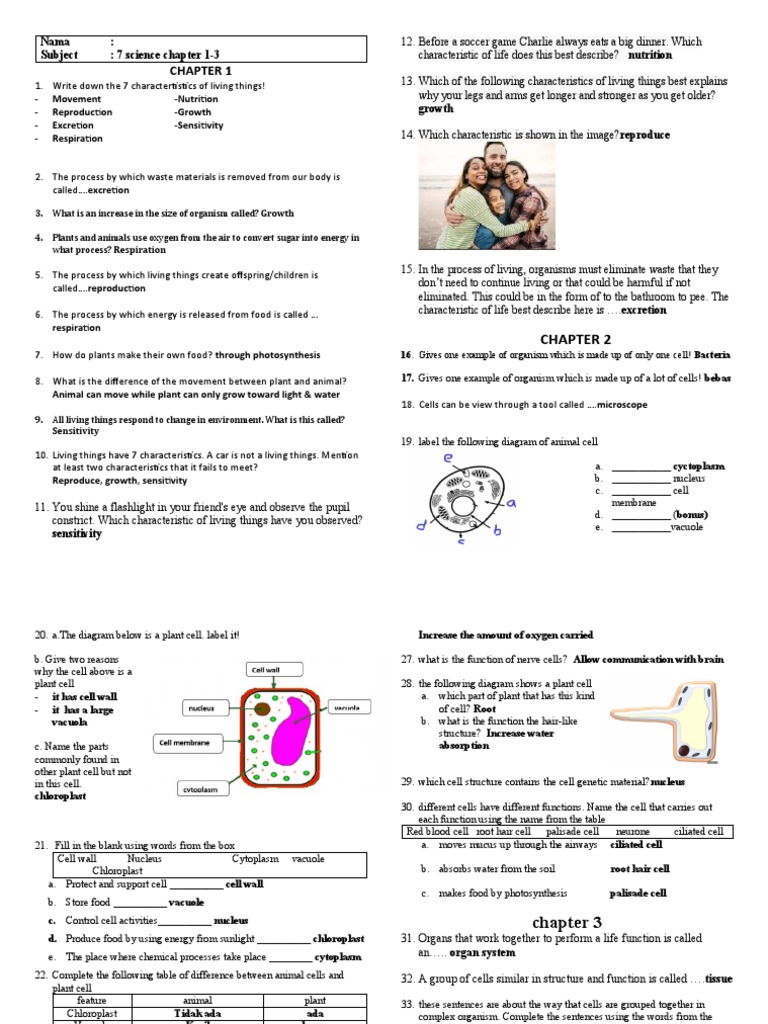 7 Science - Chapter 1-3 Answer | PDF | Human Body | Cell (Biology)