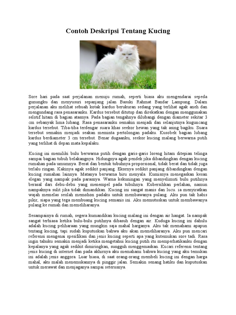 Contoh Deskripsi Tentang Kucing | PDF