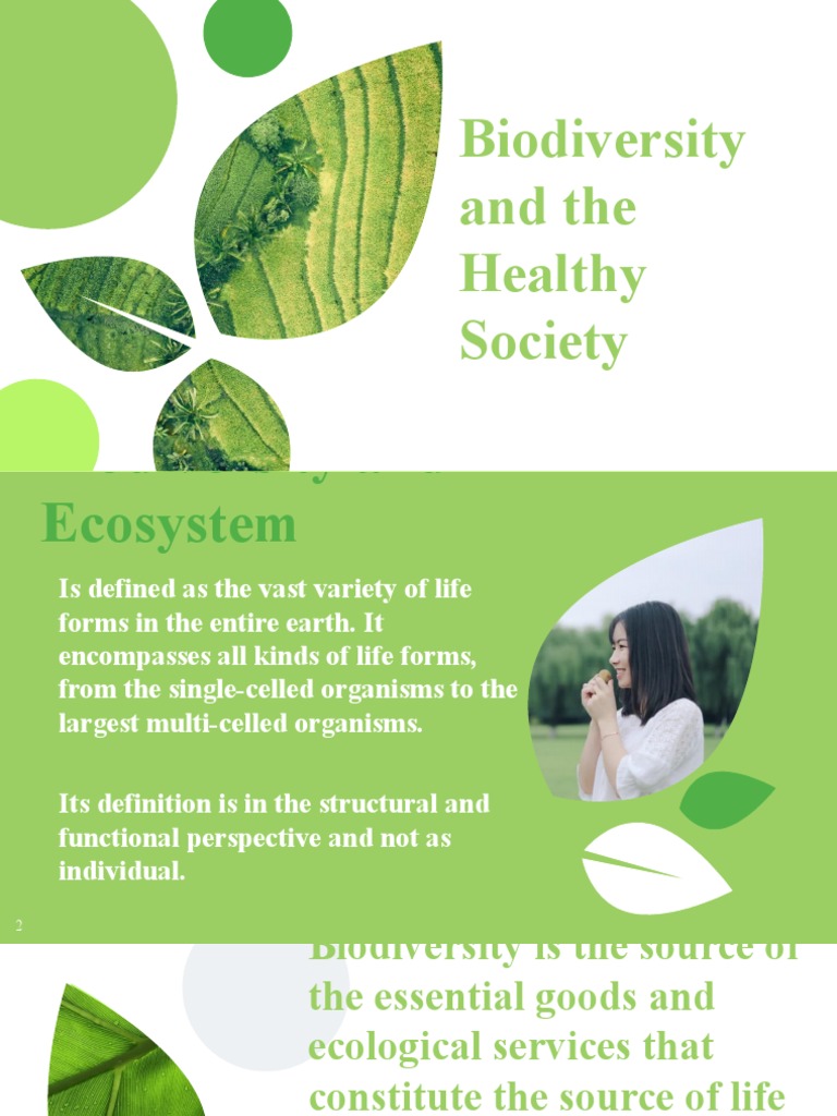 L 10 Biodiversity and Healthy Ecosystem | Download Free PDF ...