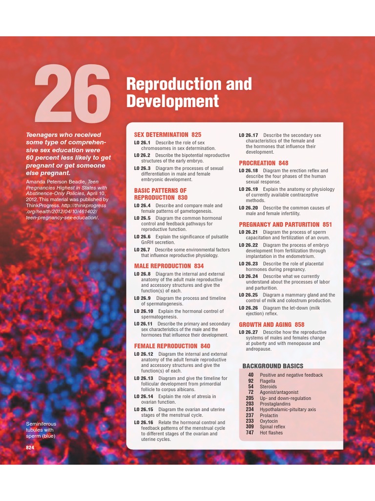 Human Reproductive Biology Overview | PDF | Testicle | Sex Organ