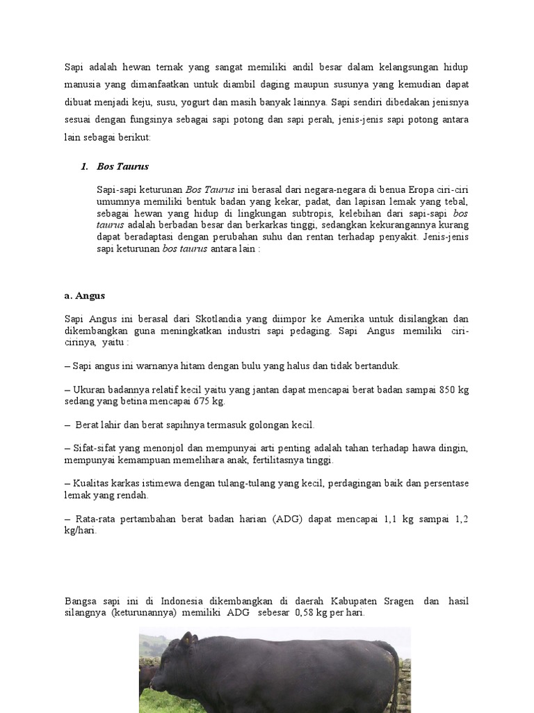 Jenis-Jenis Bangsa Sapi Dan Domba | PDF