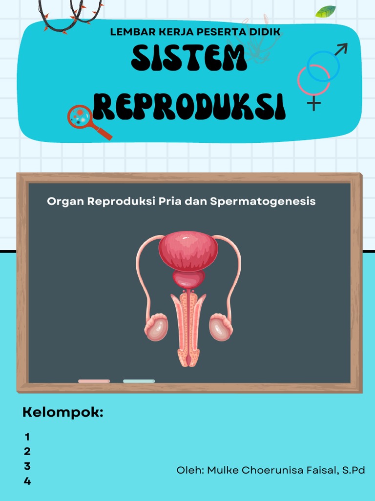 LKPD 1 - Sistem Reproduksi Pria | PDF | Kesehatan Holistik | Sains & Matematika