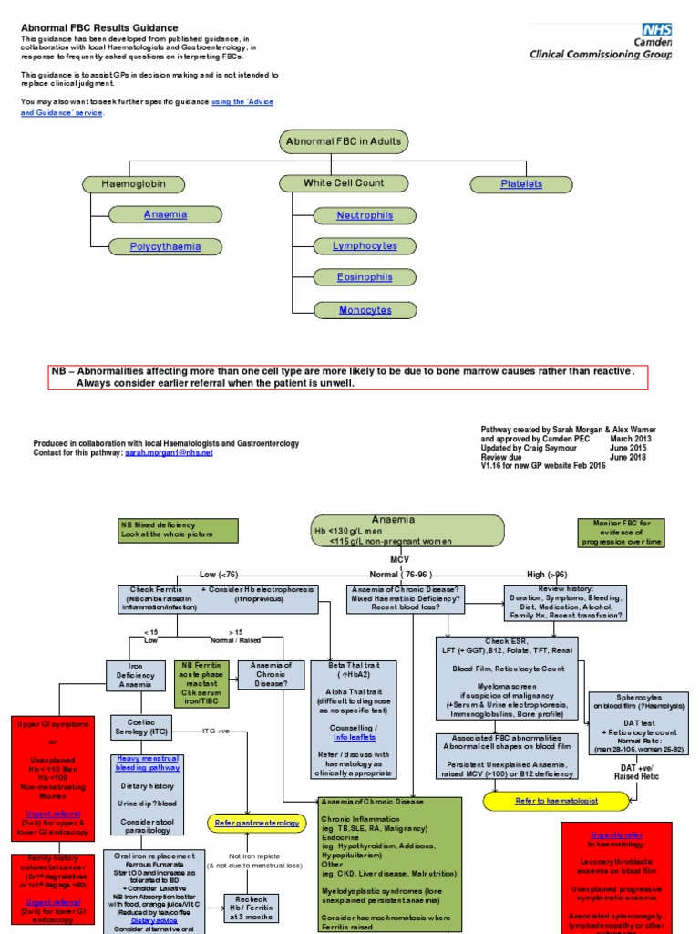Abnormal FBC 1.16 Feb 2016 | PDF | Anemia | Medicine