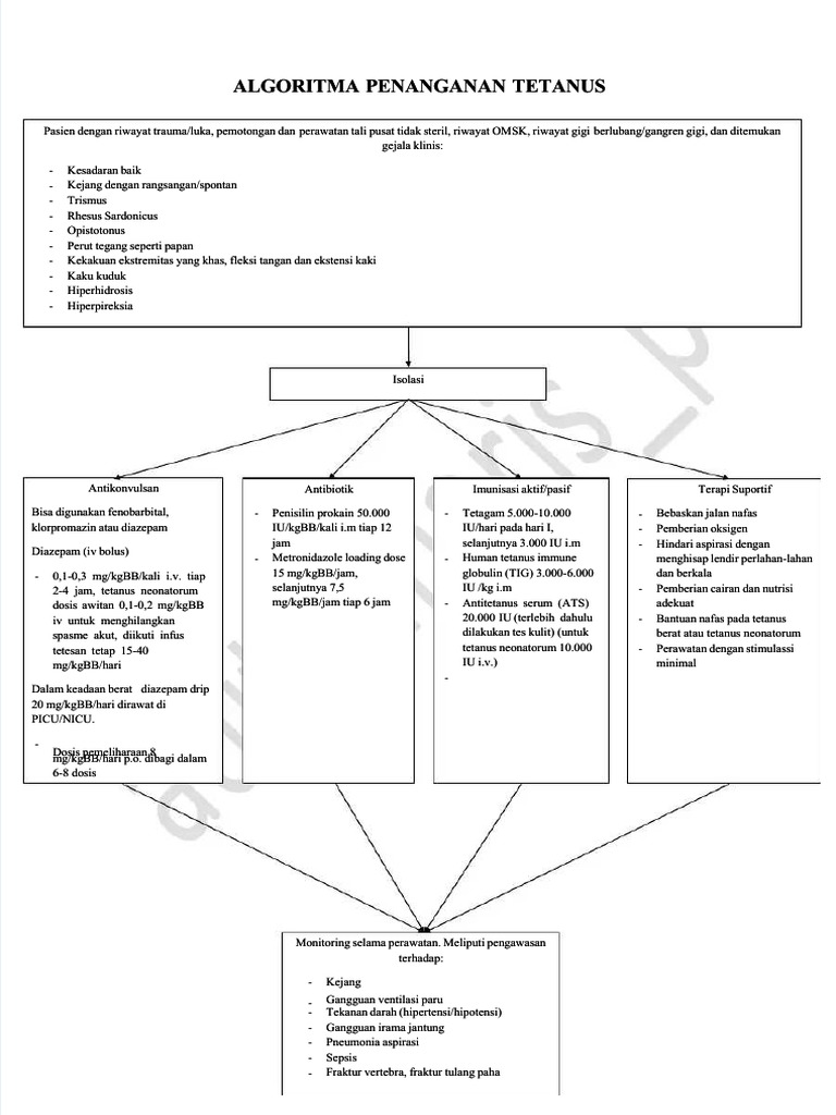 PDF Algoritma Penanganan Tetanus Compress | PDF