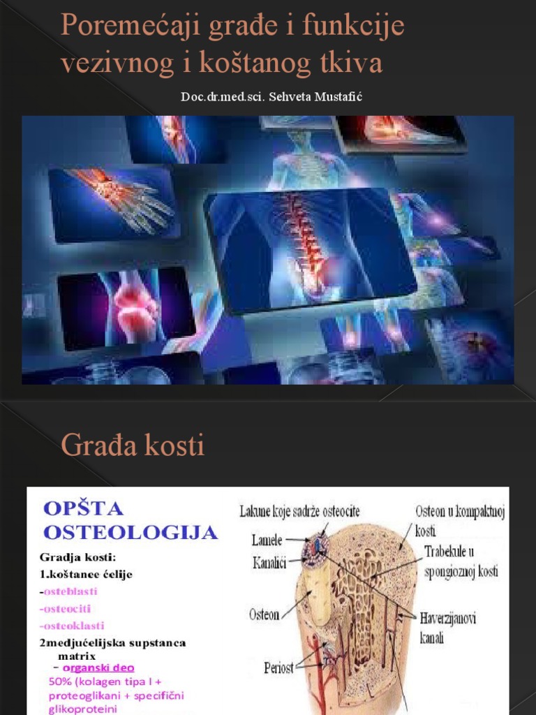 Kosti I Koža | PDF