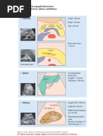 Ultrasound Measurement Cheat Sheet | PDF | Vein | Heart