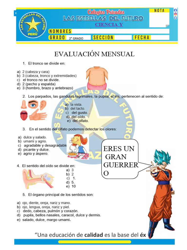2° Grado - Examen Cyt - N°2 | PDF