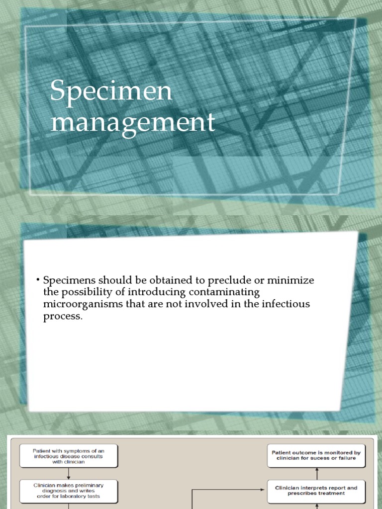 Specimen Management | Download Free PDF | Infection | Sexually Transmitted Infection