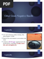 Small Pleomorphic Gram-Negative Bacilli | PDF | Gram Negative Bacteria ...