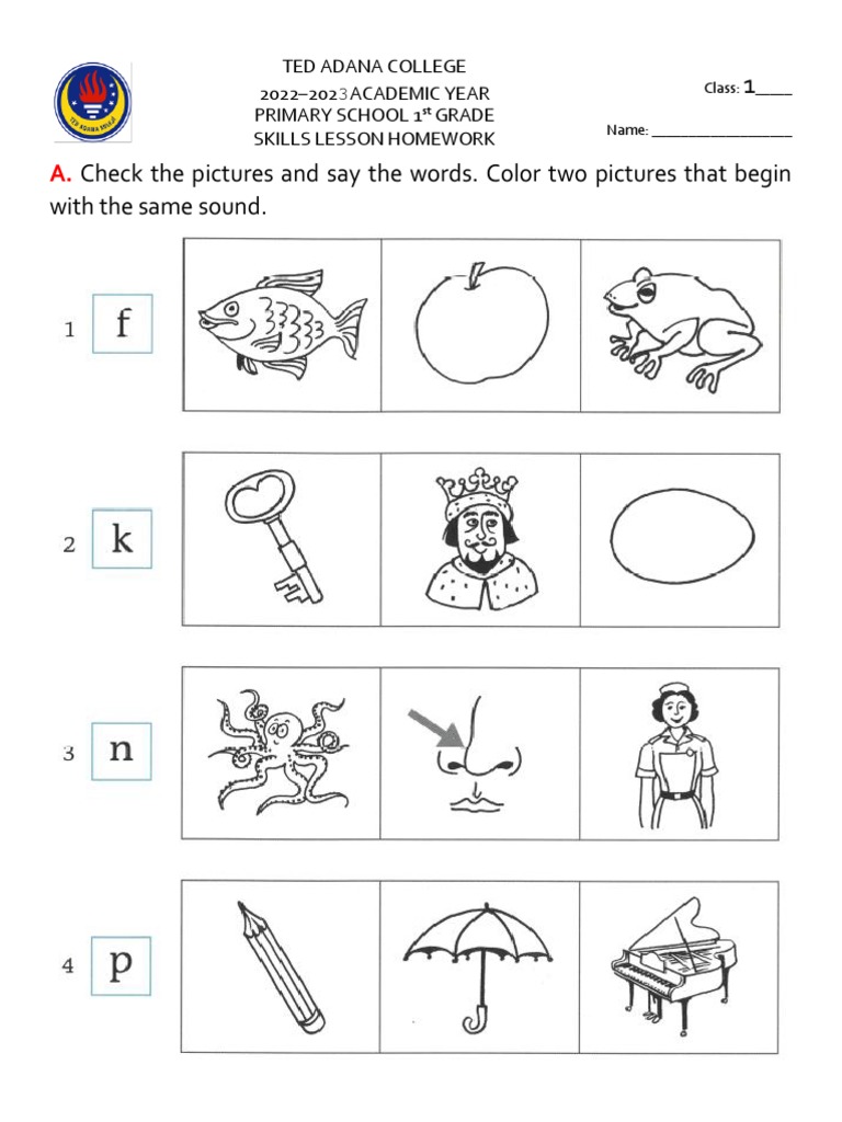1st Grade Skills Lesson Homework | PDF