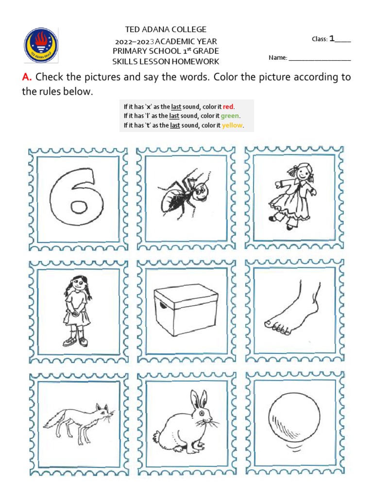 1st Grade Homework 2022-2023 | PDF