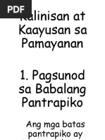 Mga Batas Trapiko-2 | PDF