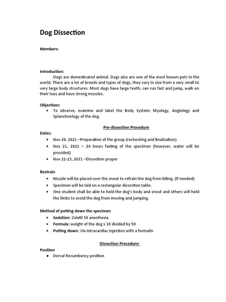 Dog Dissection Procedure | PDF | Heart Valve | Human Leg