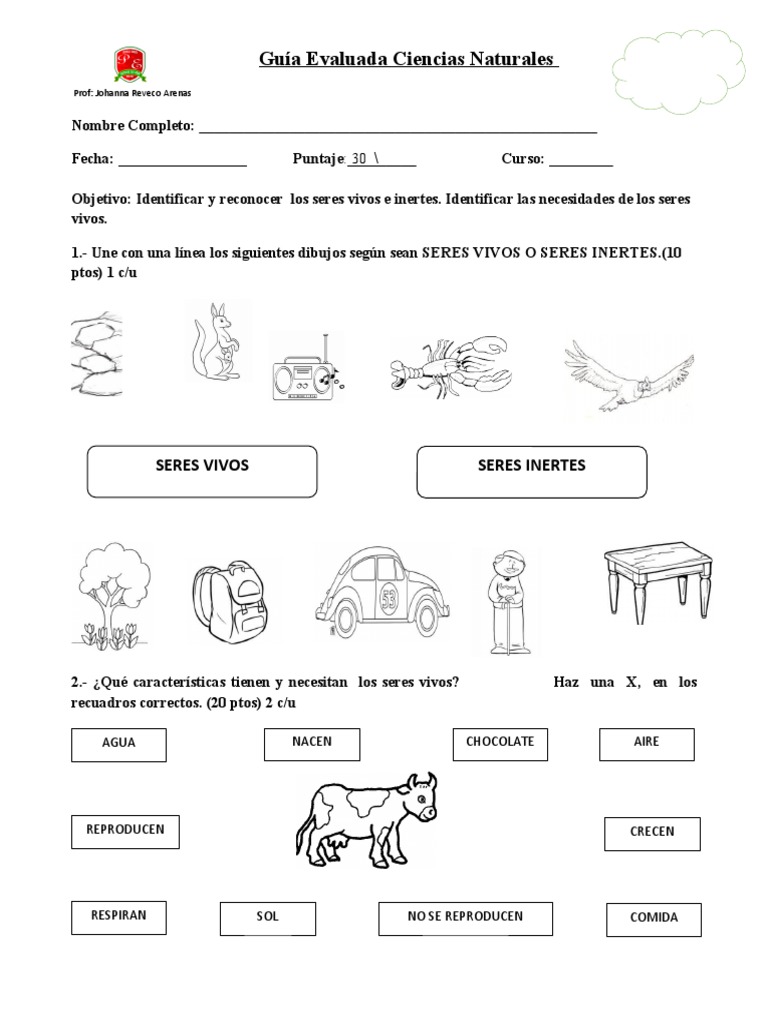 Identificación de Seres Vivos e Inertes | PDF