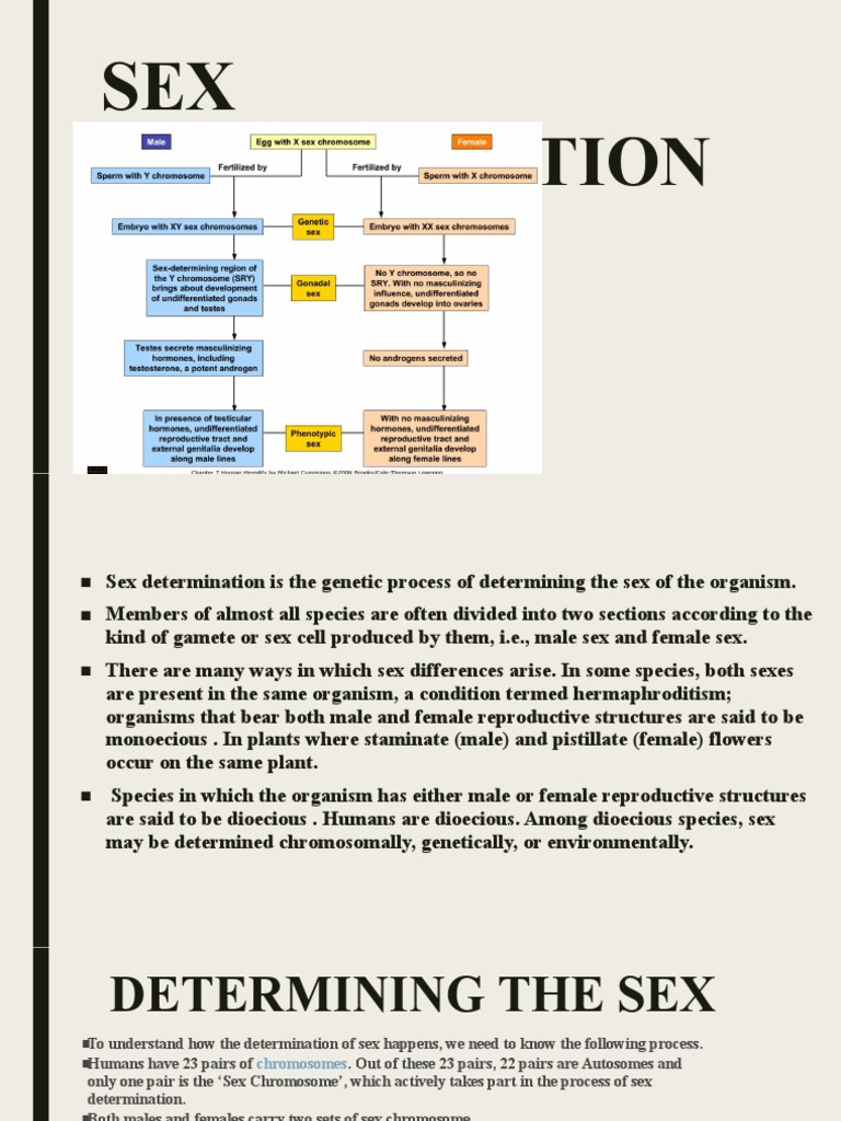 Biology Feynman Techniques Pdf Sex Male