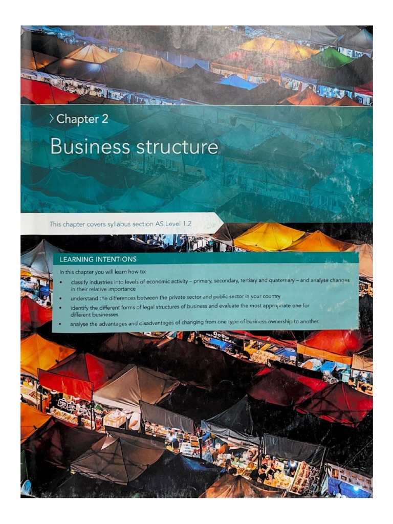 Chapter Two - Business Structure | PDF