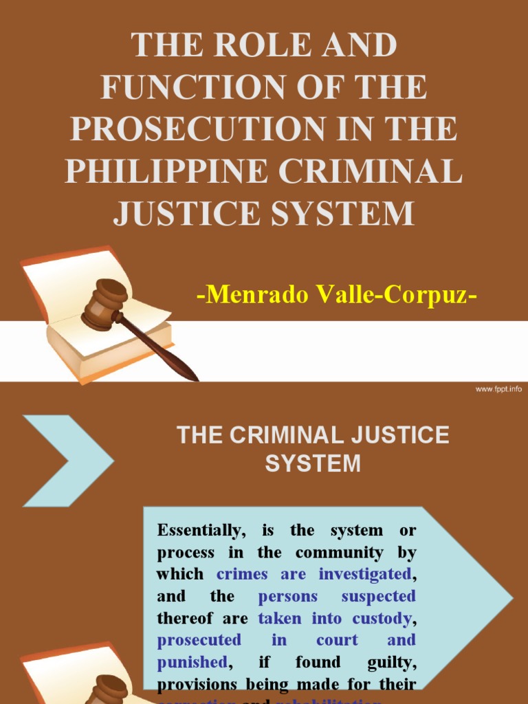 Criminal Justice System | PDF | Criminal Procedure In South Africa | Crimes