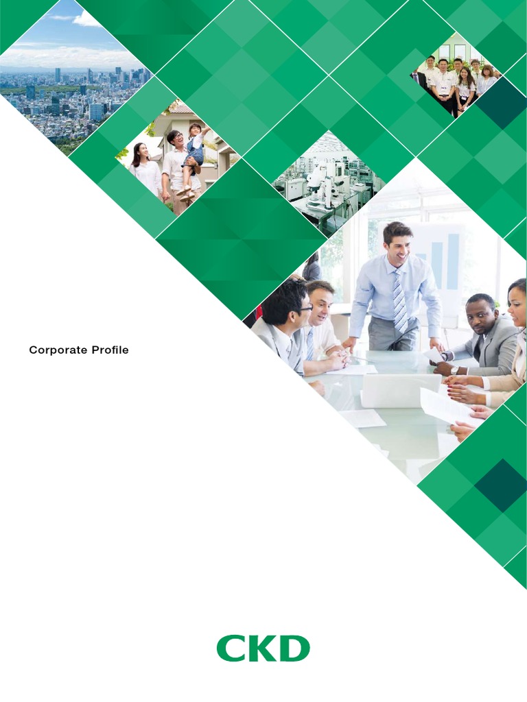 Corporate Profile CKD | PDF | Automation | Actuator