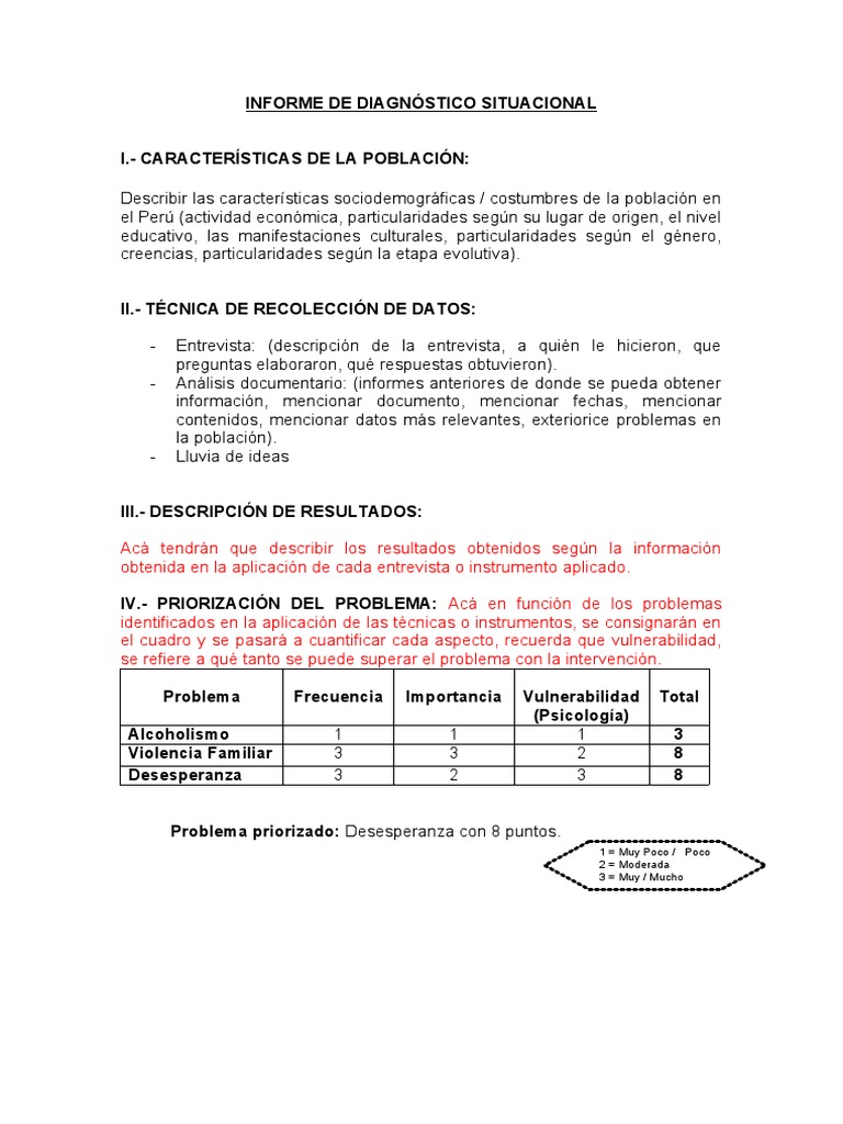 ESQUEMA INFORME DIAGNÓSTICO SITUACIONAL | PDF