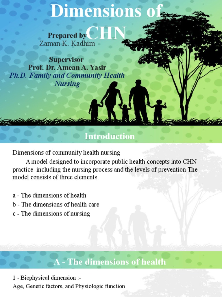 Dimensions of Community Health Nursing | PDF | Nursing | Health Care
