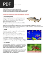 Enviropig: Genetic Modification Process | PDF | Genetically Modified ...