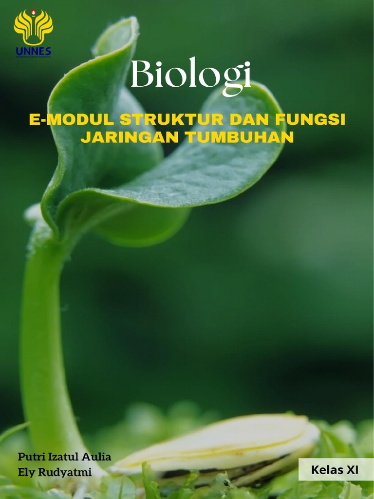 E-Modul Struktur Dan Fungsi Jaringan Tumbuhan Kelas 11 Revisi | PDF