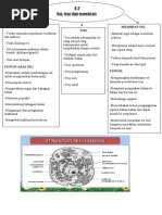 Soalan Percubaan Sains Sukan STPM Sem 1 2024 | PDF