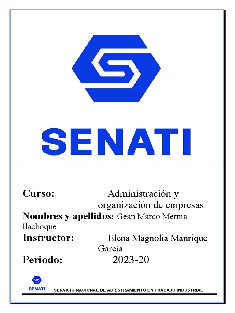 Trabajo Final Administracion y Organizacion de Empresas | PDF | Informática