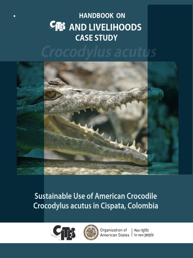 Case Study - Sustainable Use of American Crocodile - Crocodylus | PDF ...