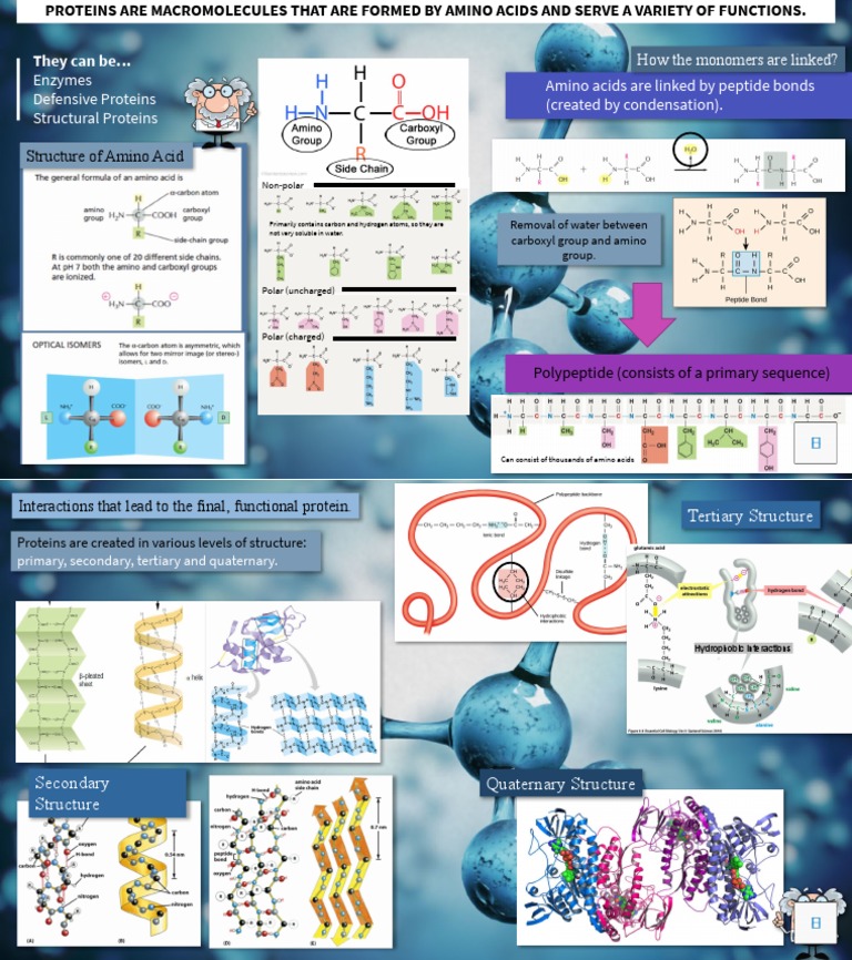 Bio Assignment 1 | PDF
