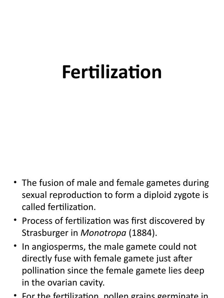 6 Fertilization | PDF | Fertilisation | Reproduction