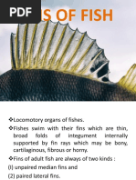 Epichordal Lobe in Fish Fins | PDF | Vertebra | Fin