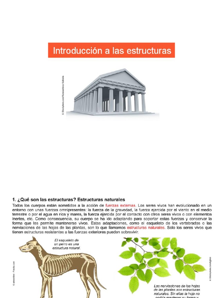 01 Estructuras Introducción | PDF