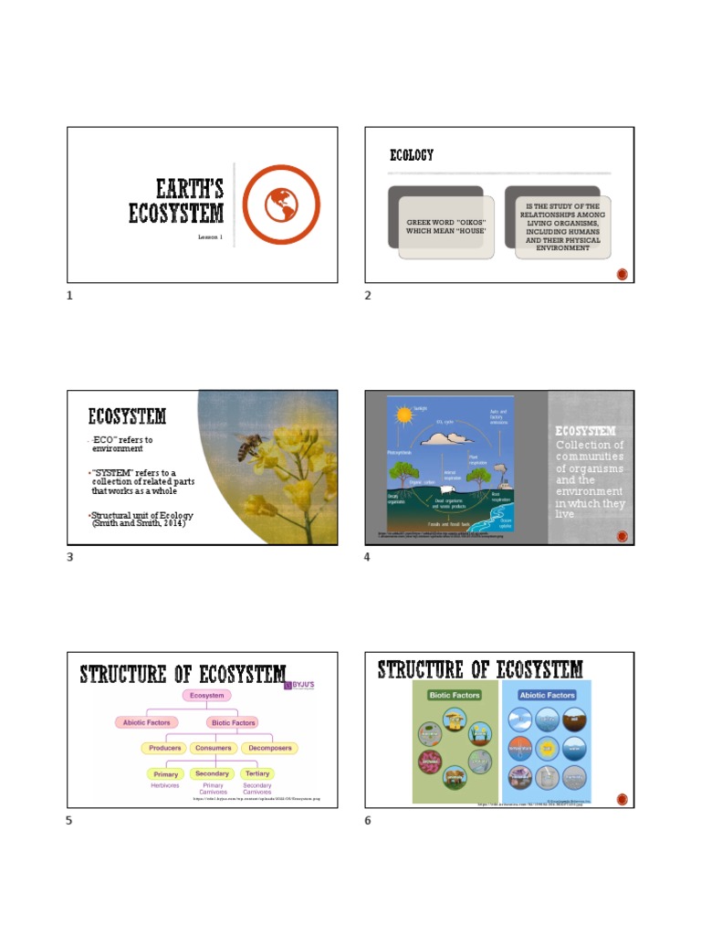 Lesson 1 - Handout | PDF | Ecological Niche | Systems Ecology