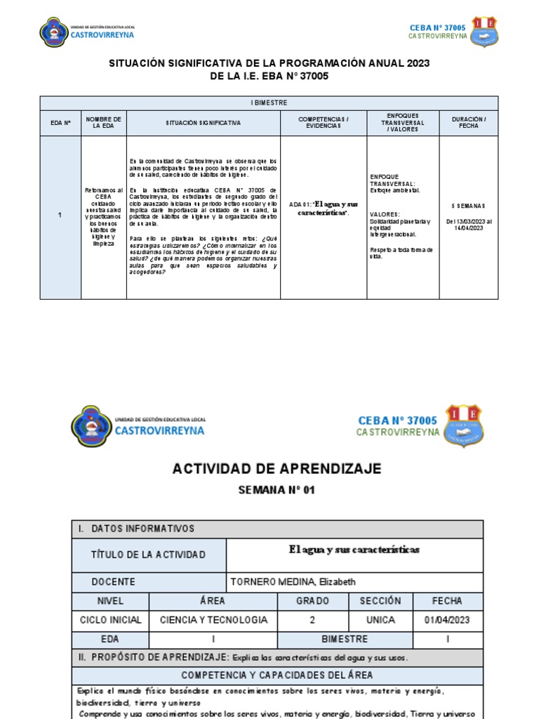 Modelo de Ada Ciclo Inicial 2023 | PDF | Aprendizaje | Universo