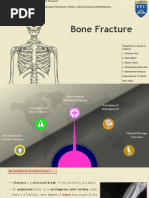 Ultrasound Templates | PDF | Medical Ultrasound | Shoulder