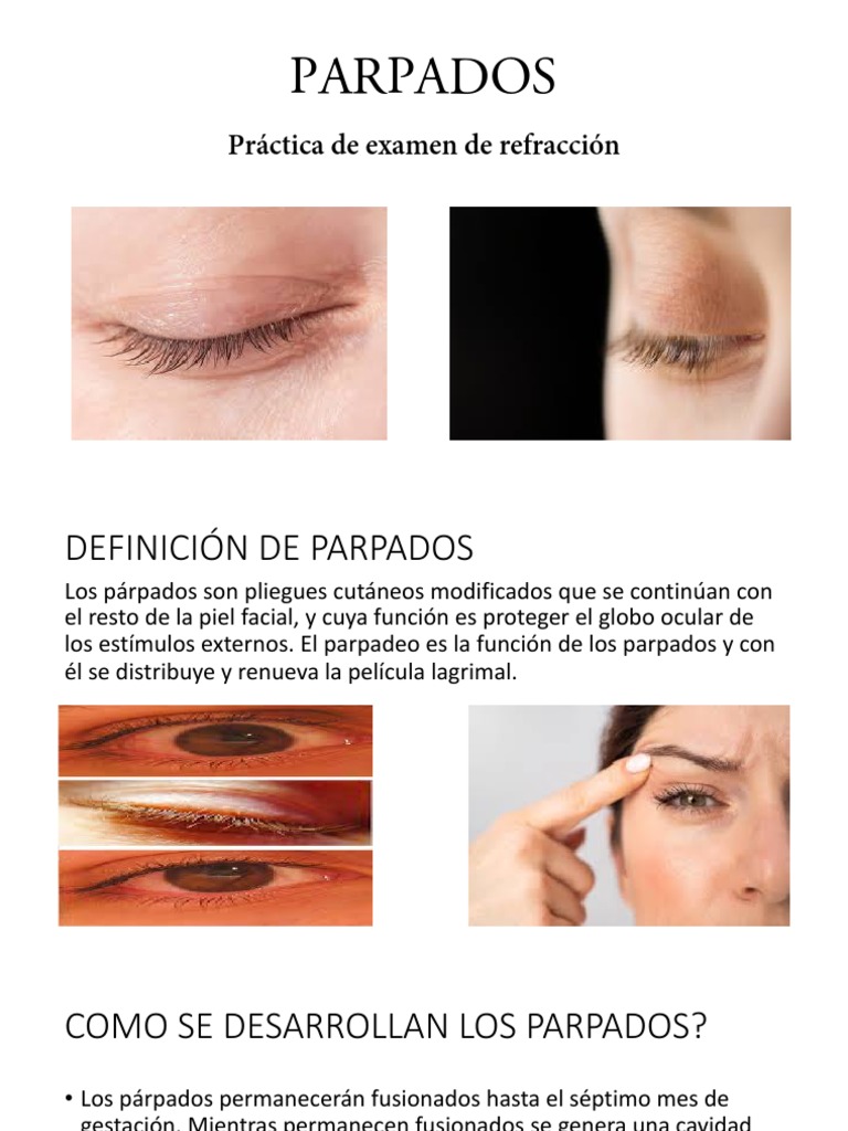 Función y desarrollo de los párpados | PDF | Músculo esquelético | Ojo