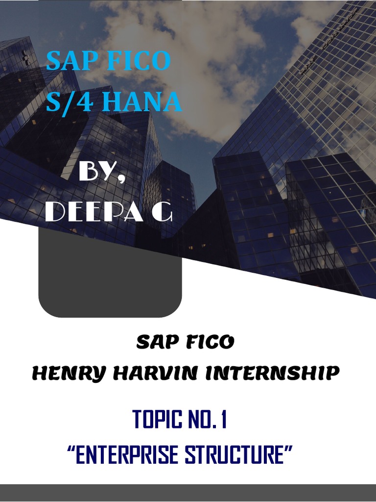 SAP FICO Enterprise Structure Guide | PDF | Sales | Credit