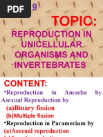 Structural Organization in Animals - Old NCERT Chapter Topics - Arjuna ...