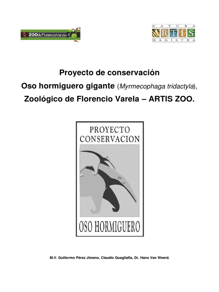 PROYECTO CONSERVACI - N OSO HORMIGUERO General | PDF | zoo | Ecología