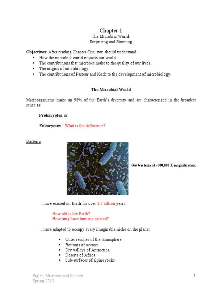Chapter One - The Microbial World | PDF | Microorganism | Louis Pasteur