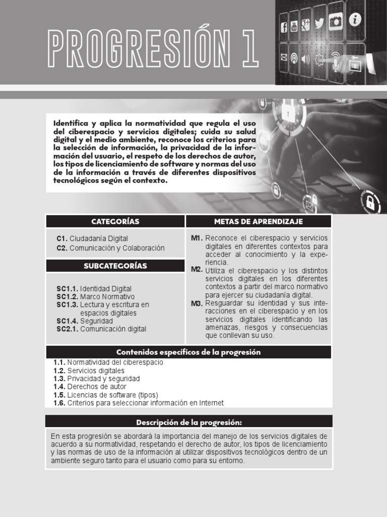 Progresión 1: Categorías Metas de Aprendizaje | PDF | Internet | Contraseña