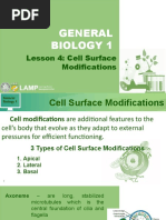Cell Modification | PDF | Cell (Biology) | Epithelium