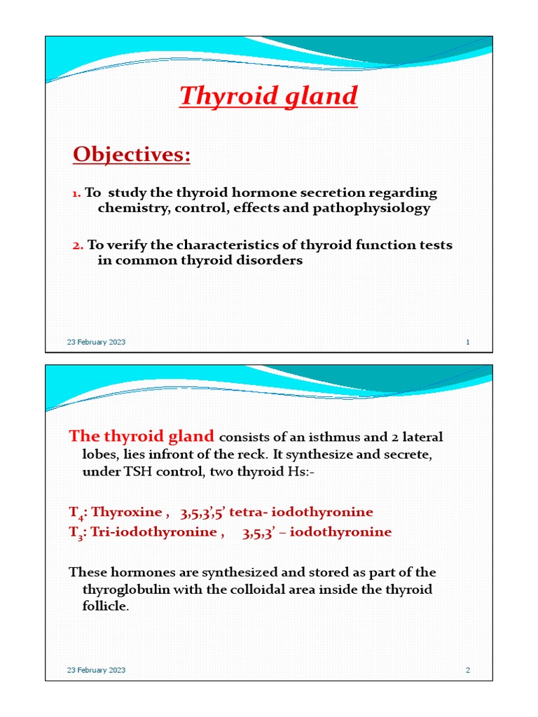 Thyroid Hormones | PDF | Hyperthyroidism | Thyroid