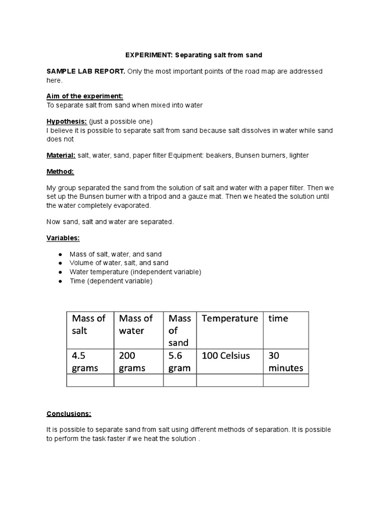 Sample Lab Report | PDF