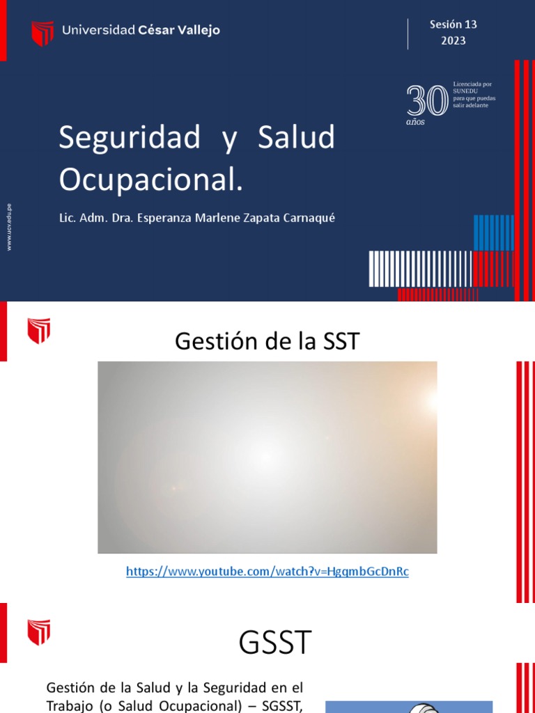 CLASE 13 Seguridad y Salud Ocupacional | PDF