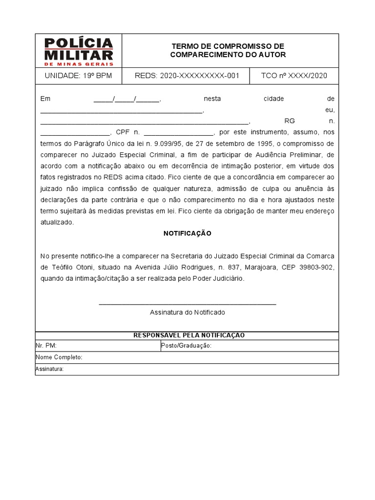 Termo de Compromisso de Comparecimento Do Autor | PDF | Finanças e ...