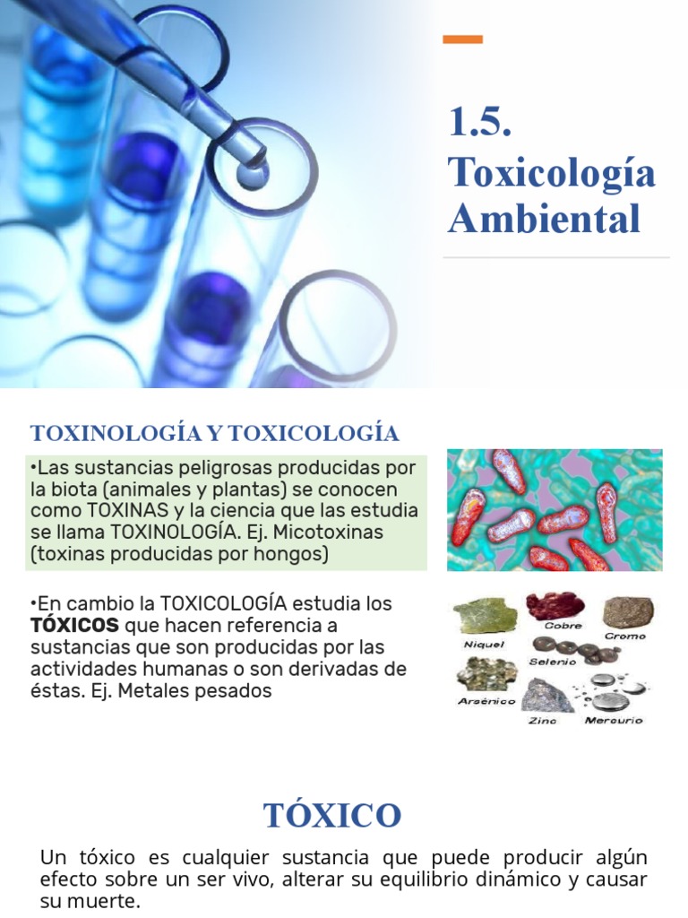 Toxicologia General | PDF | Toxicología | Toxicidad